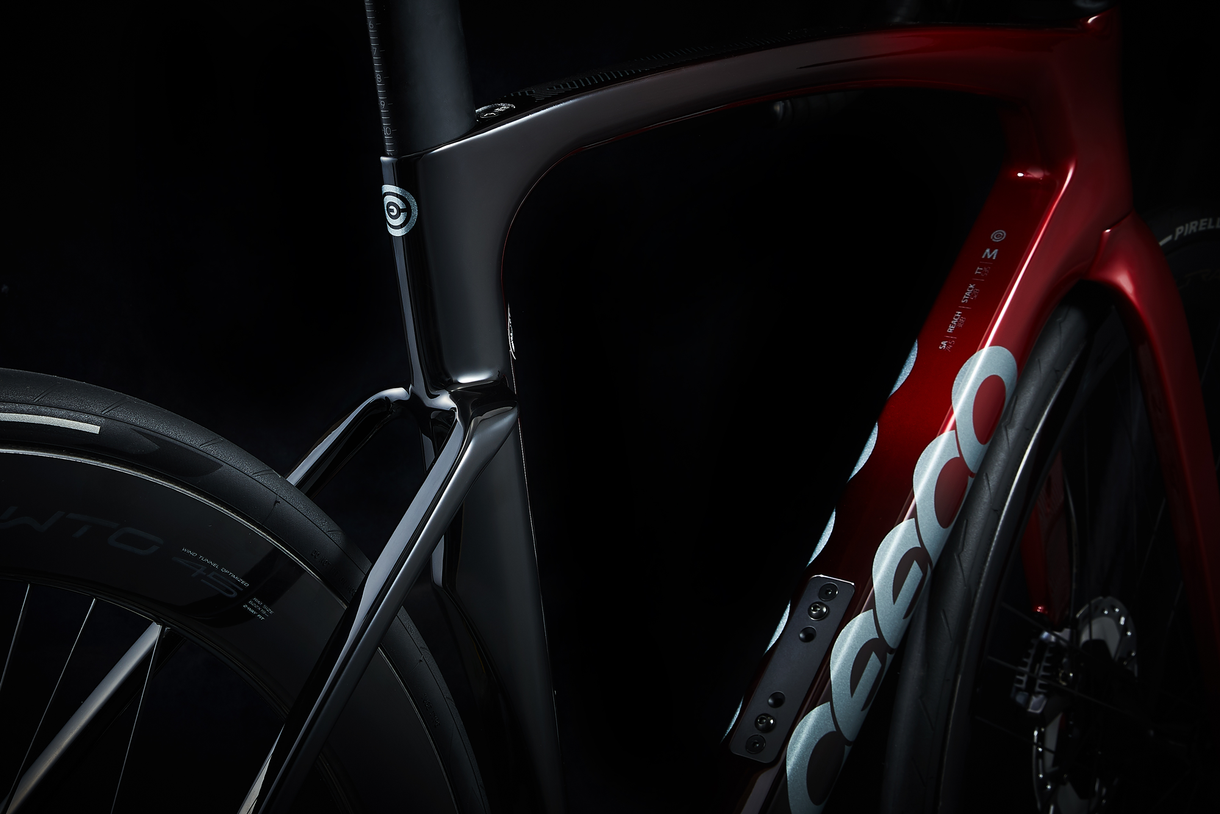 Mamba-R Frameset – Ceepo Bikes USA