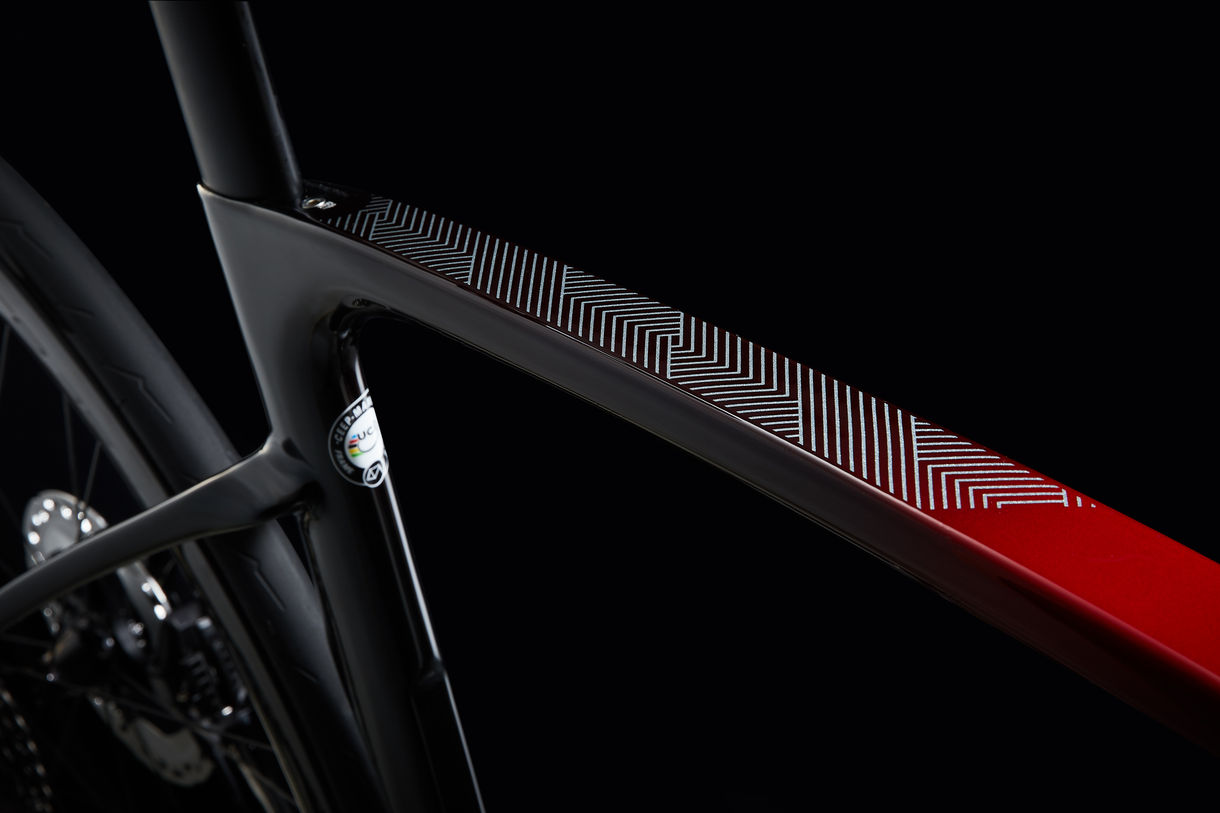 Mamba-R Frameset – Ceepo Bikes USA