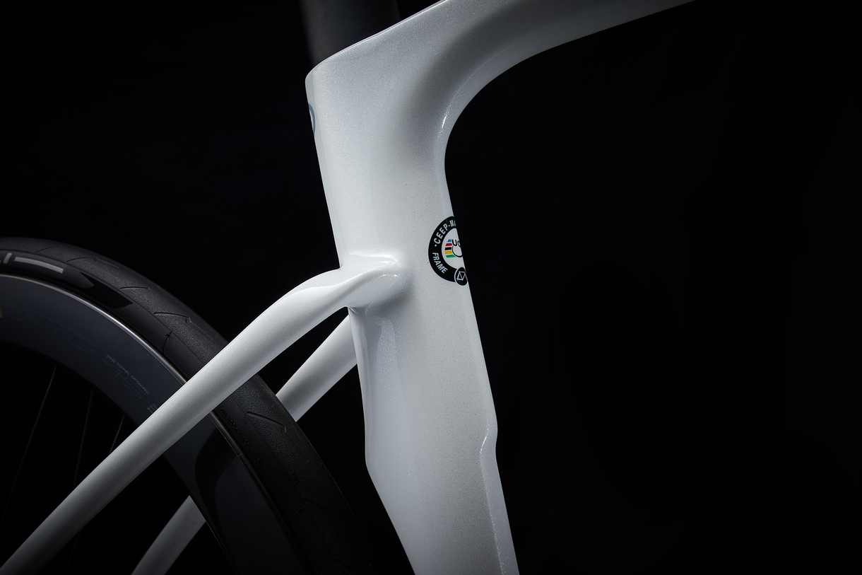 Mamba-R Frameset – Ceepo Bikes USA