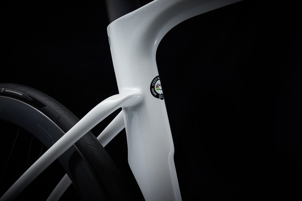 Mamba-R Frameset – Ceepo Bikes USA